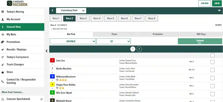 Horse Betting 101: How to Bet on Horse Racing