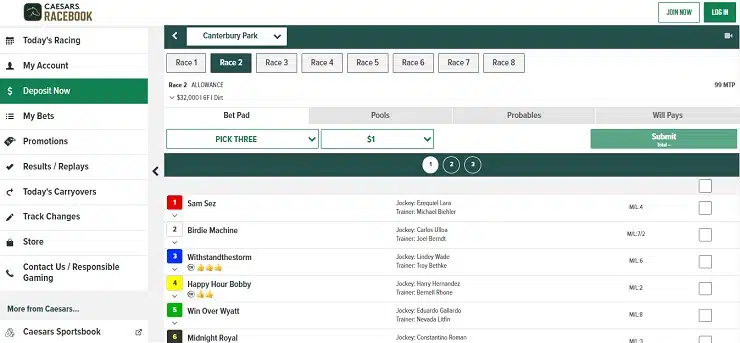Horse Betting 101: How to Bet on Horse Racing