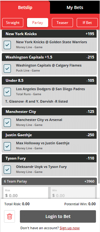 What Are The Different Bet Types? Sports Betting Explained