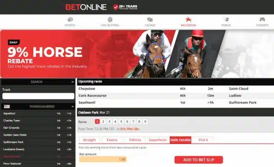 What Is A Daily Double Horse Racing Bet?