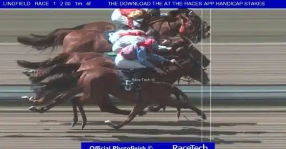 What Is Dead Heat Betting and How Does It Work?