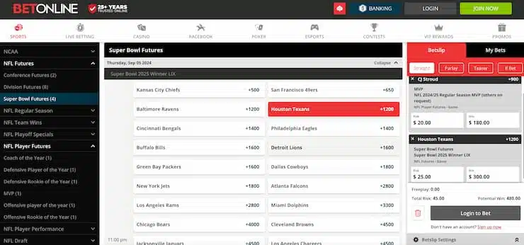 How to Bet on the Super Bowl - The Best Bets to Make