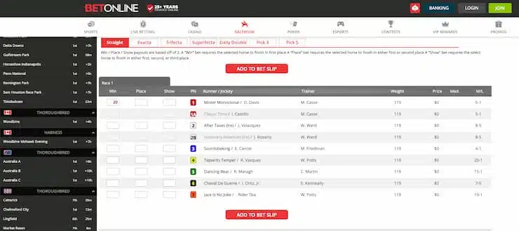 Horse Betting 101: How to Bet on Horse Racing