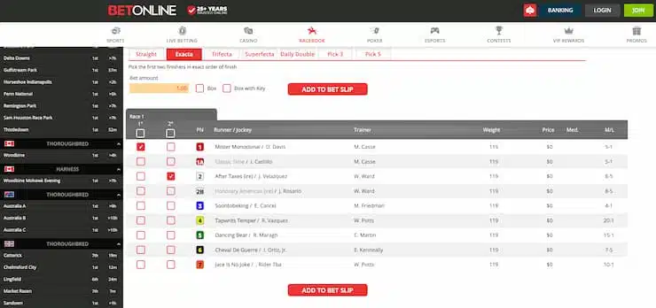 Horse Betting 101: How to Bet on Horse Racing