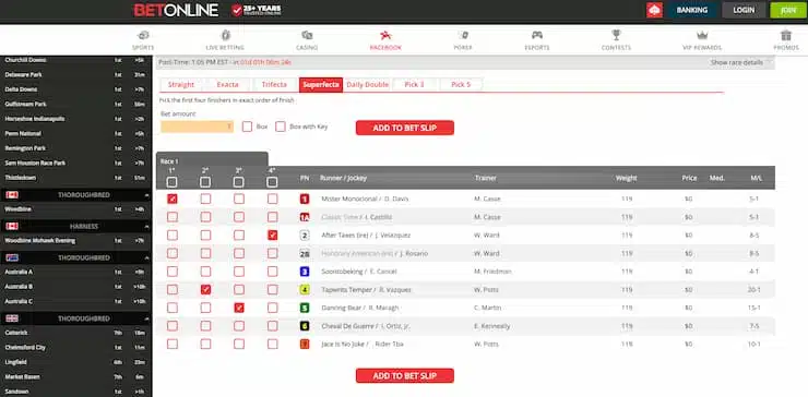 Horse Betting 101: How to Bet on Horse Racing