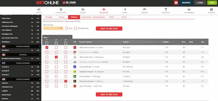 Horse Betting 101: How to Bet on Horse Racing