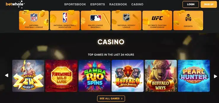 BetWhale Promo Code for January, 2025 - Sports & Casino Bonus