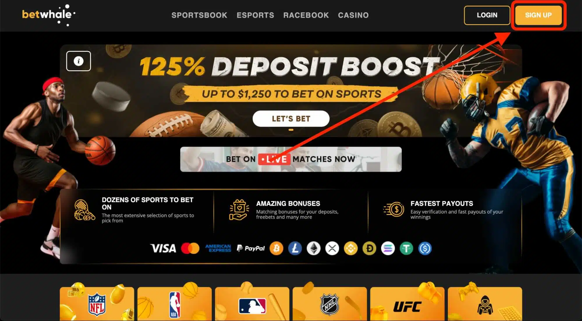 BetWhale Promo Code for January, 2025 - Sports & Casino Bonus