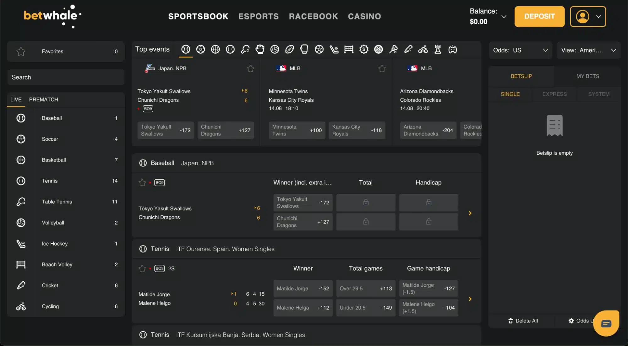 BetWhale Promo Code for January, 2025 - Sports & Casino Bonus