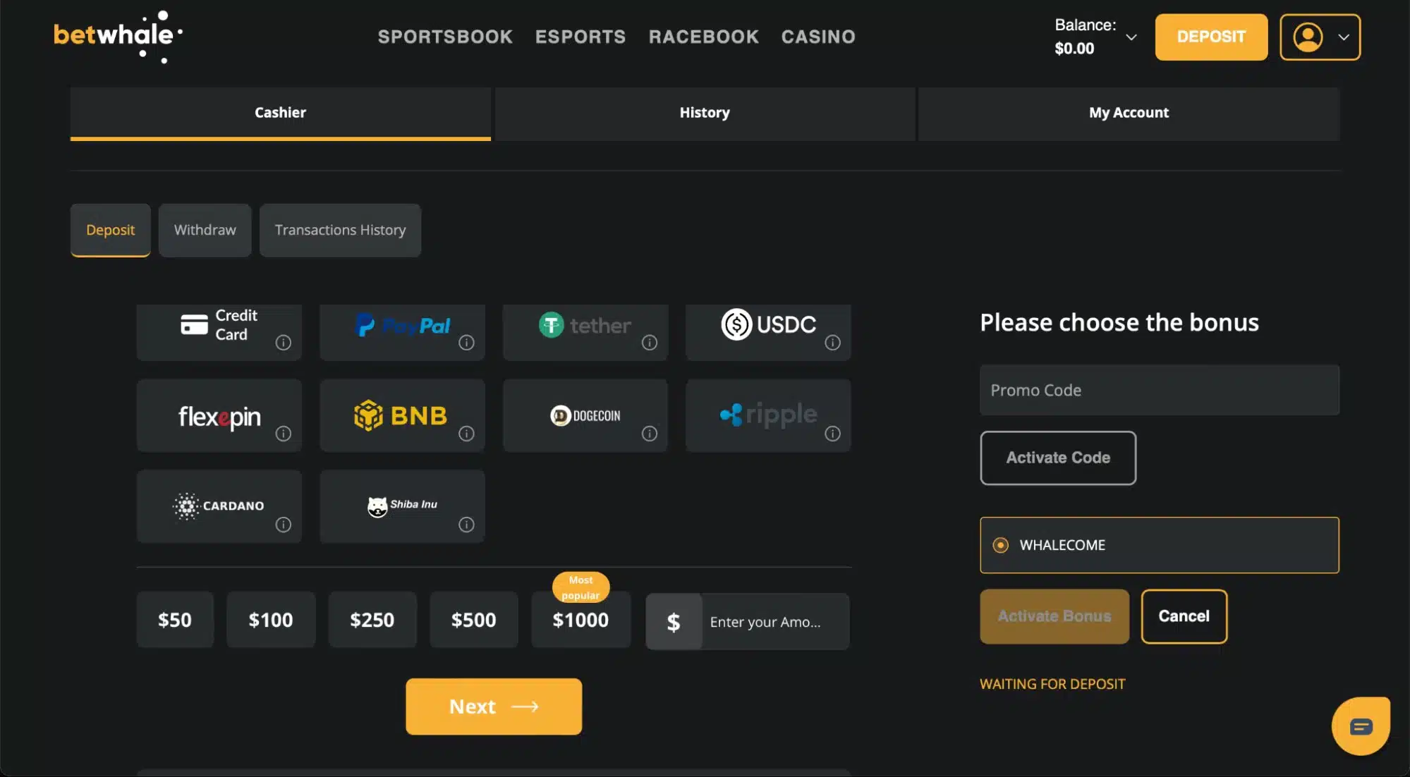 BetWhale Promo Code for January, 2025 - Sports & Casino Bonus